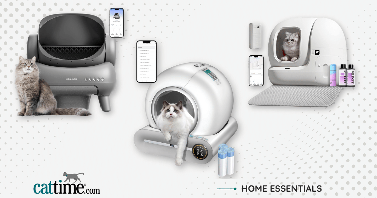 16 Best Self-Cleaning Litter Boxes That Will Make Your Life Easier