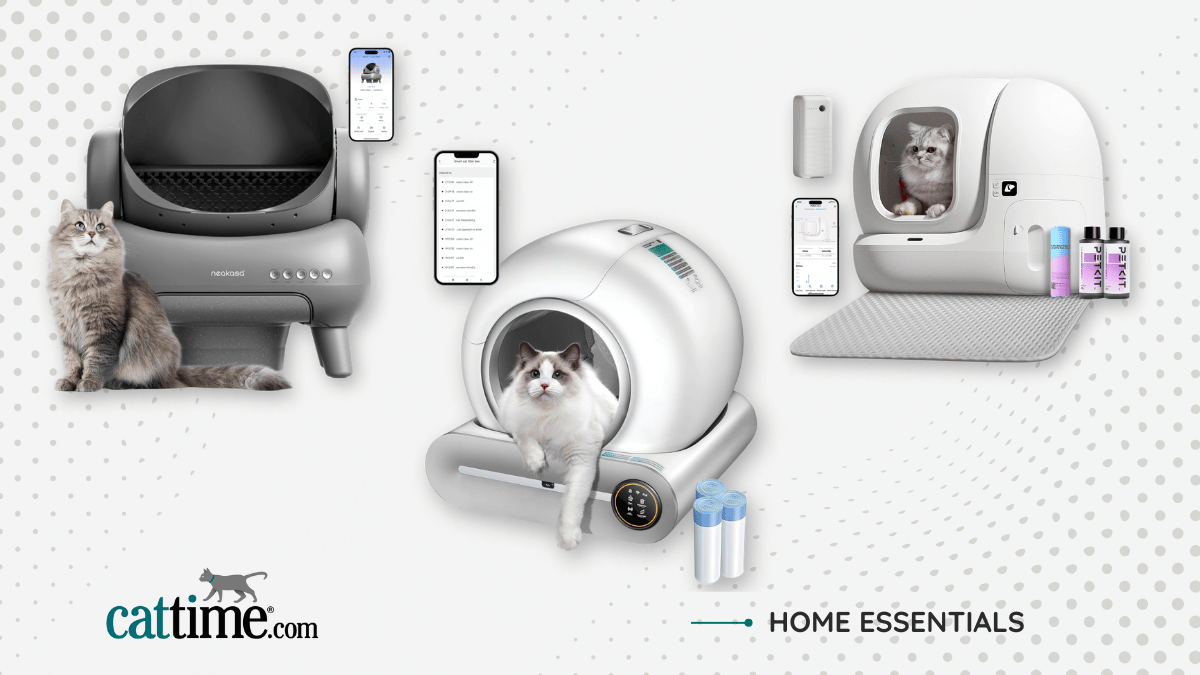 16 Best Self-Cleaning Litter Boxes That Will Make Your Life Easier