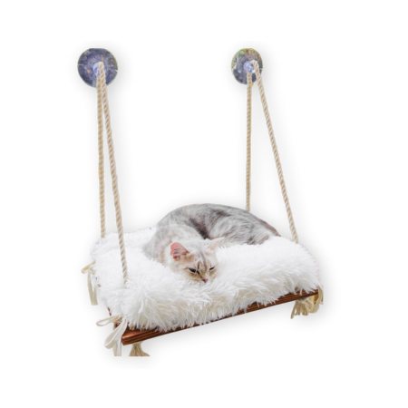 17 Best Cat Window Perches That Your Feline Will Love