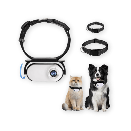 12 Best Cat Camera Collars — See the World Through Their Eyes