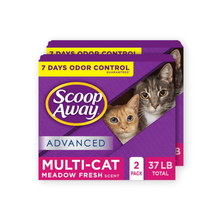 25 Best Cat Litter Options in 2025