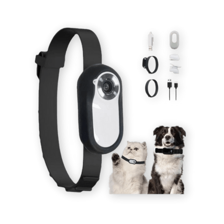 12 Best Cat Camera Collars — See the World Through Their Eyes