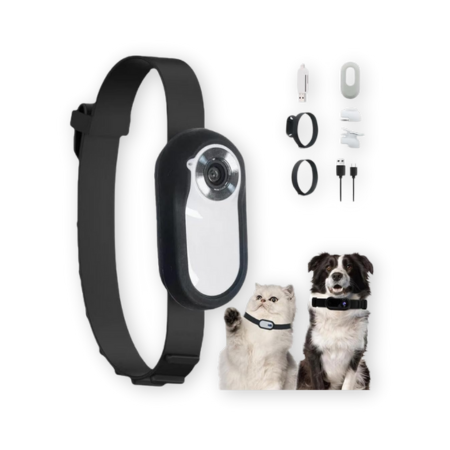 12 Best Cat Camera Collars — See the World Through Their Eyes