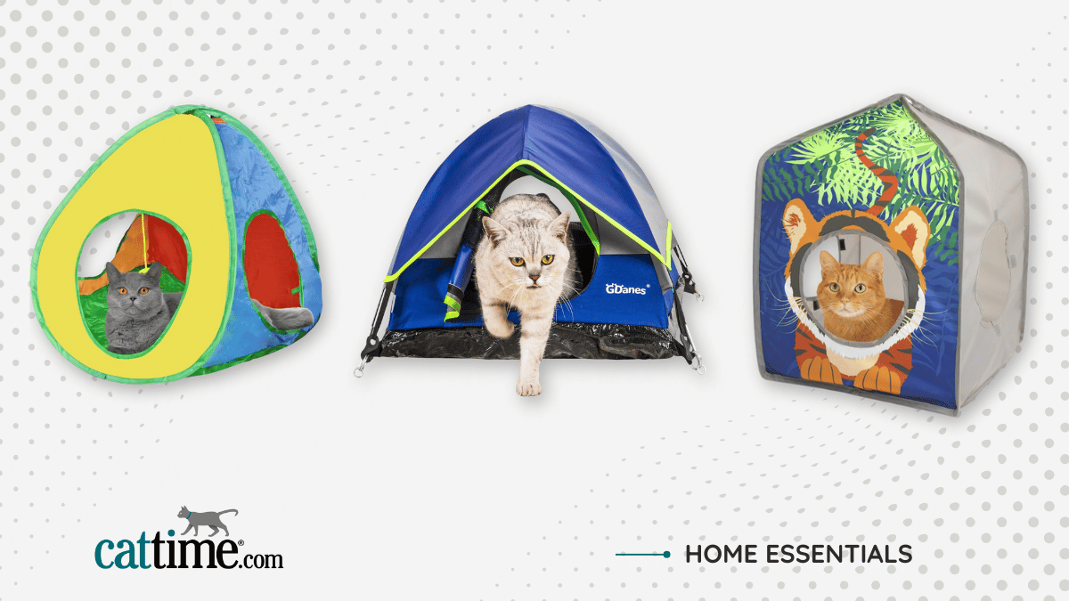 7 Best Cat Trees in 2025