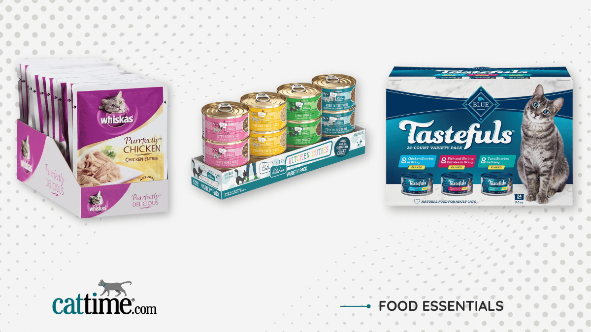 11 Best Wet Cat Foods That Even Picky Eaters Will Love - CatTime