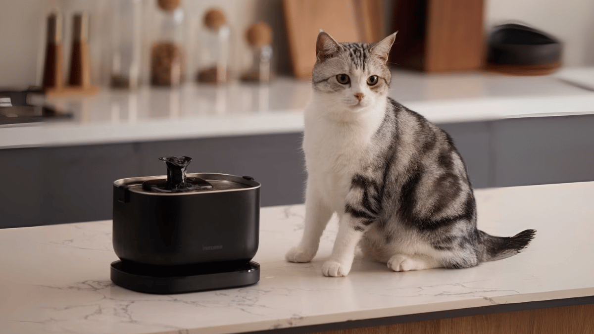 PETLIBRO Automatic Cat Feeder With Camera