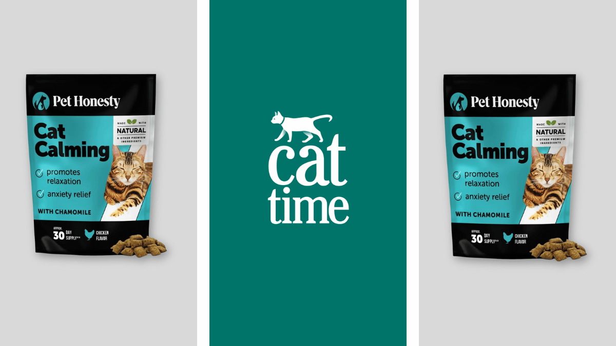 9 Best Cat Blankets — Approved by Kitties