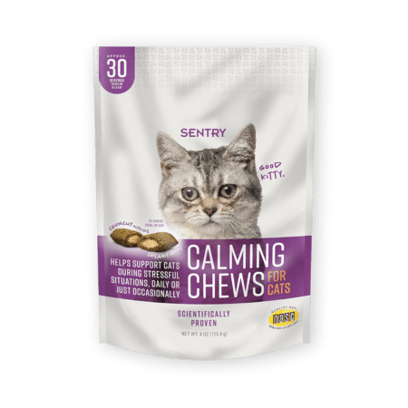 15 Best Cat Treats for Your Feline Friend in 2025