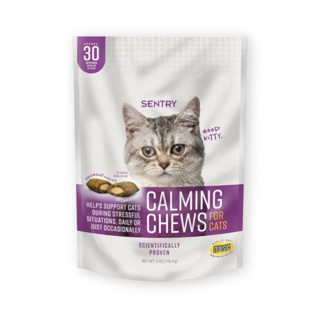 15 Best Cat Treats for Your Feline Friend in 2025